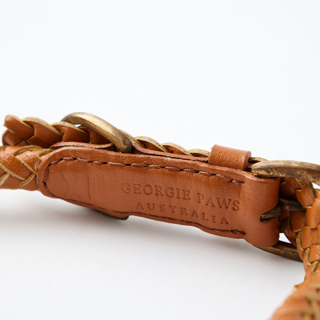Tonto Pet Collar in Tan – Tori Jones Studio