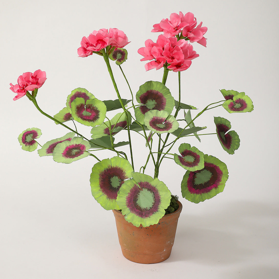 Potted Paper Geranium in Deep Pink – Tori Jones Studio