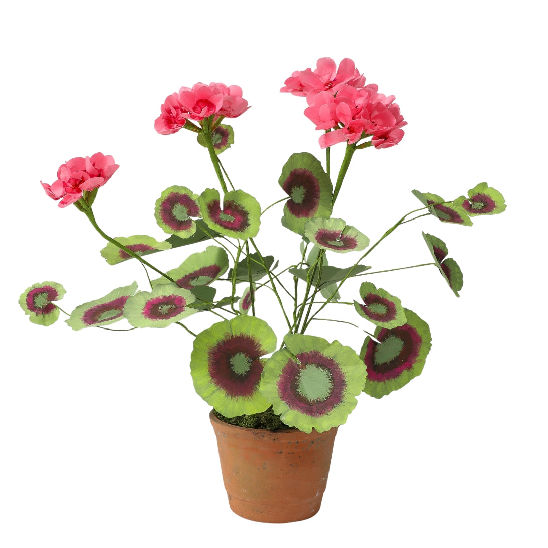 Potted Paper Geranium in Deep Pink – Tori Jones Studio